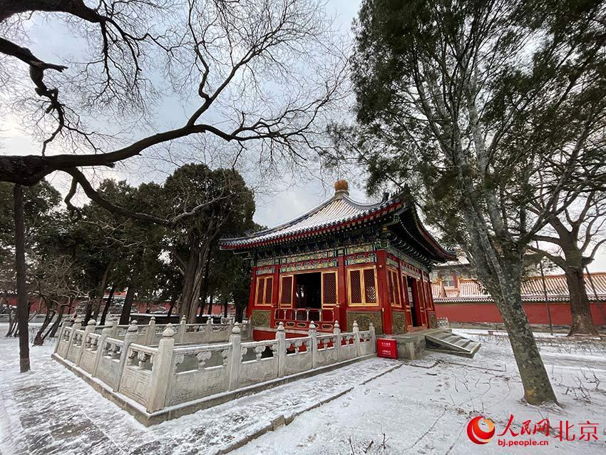 北京迎2022年初雪 故宫覆盖白雪更显魅力旅游频道中国青年网